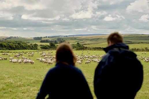 Lamb Selection and Butchery Demo - Monday 13th November, 5pm at UA ...
